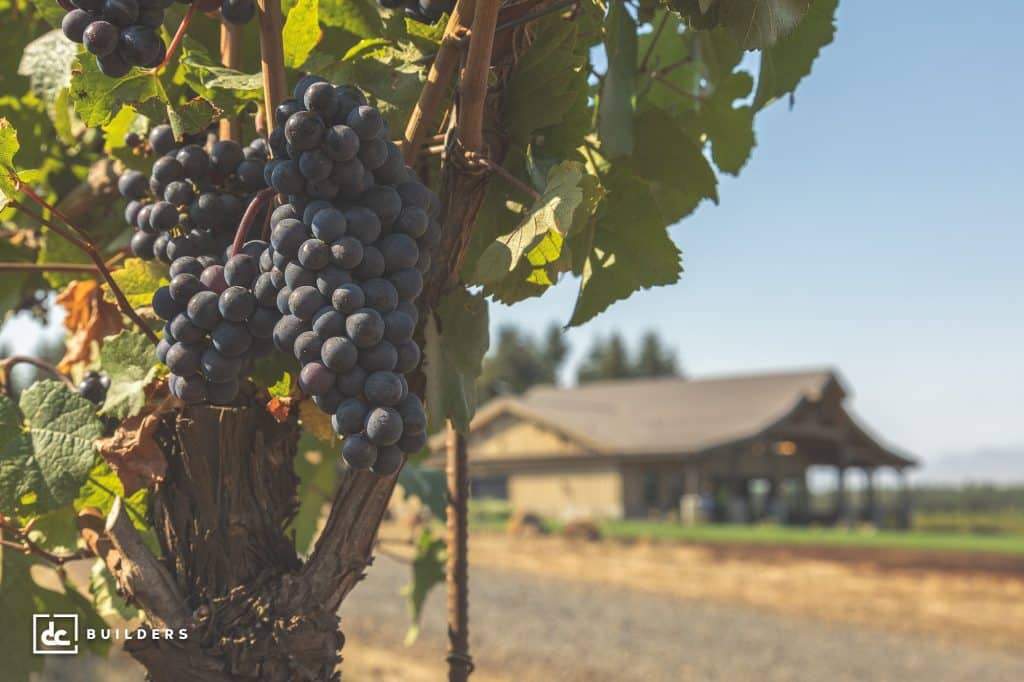 Wine Not? Build Your Dream Winery With DC - DC Structures